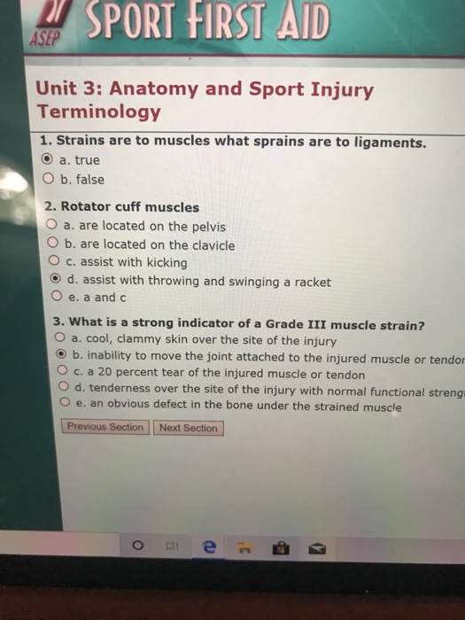 Solved SPORT FIRST AID ASEP Unit 3: Anatomy and Sport Injury | Chegg.com