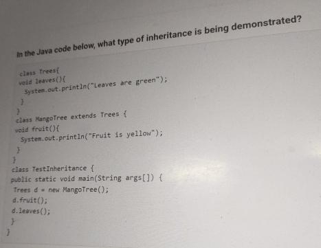 Solved In the Java code below, what type of inheritance is | Chegg.com