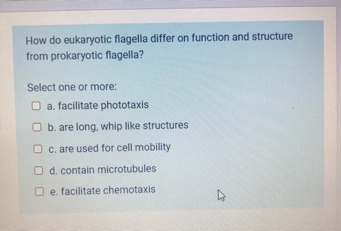 Solved How do eukaryotic flagella differ on function and | Chegg.com