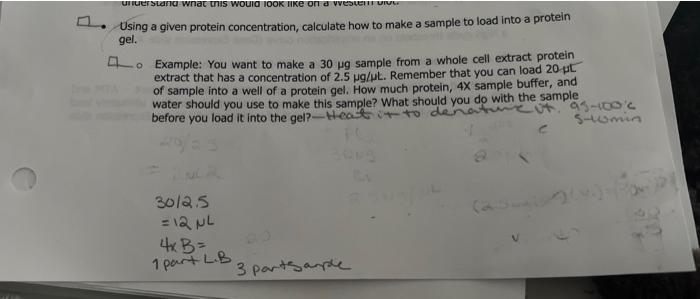 Solved please use the numbers in the question and show the | Chegg.com
