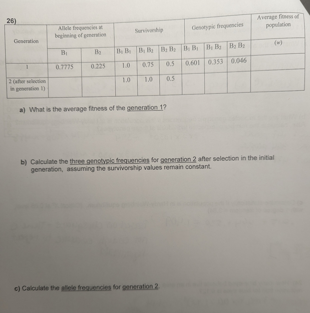 Solved \table[[Generation,\table[[Allele frequencies | Chegg.com