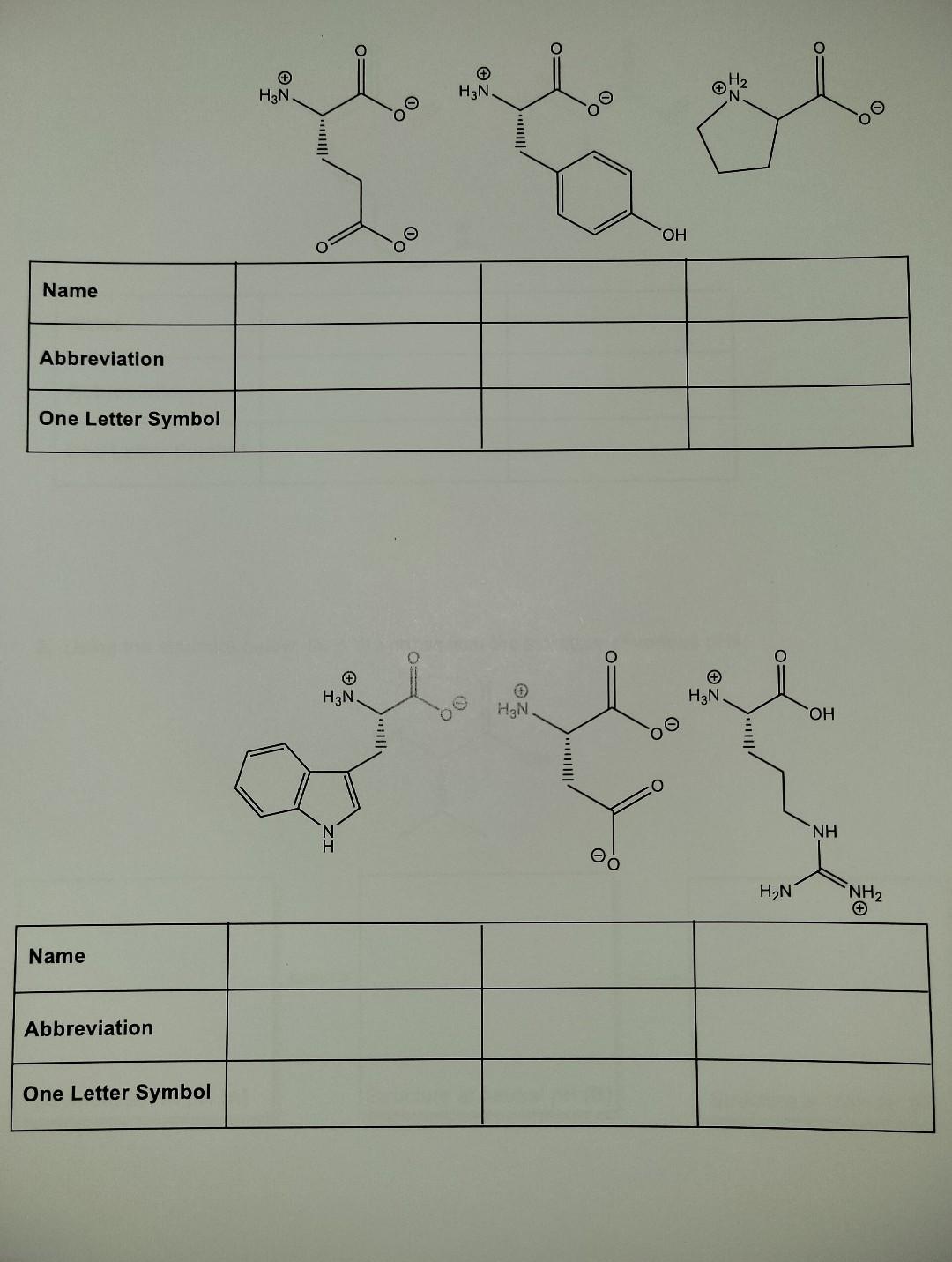 Solved 03 ΞΟ H2 H3N H3N. O OH Name Abbreviation One Letter | Chegg.com