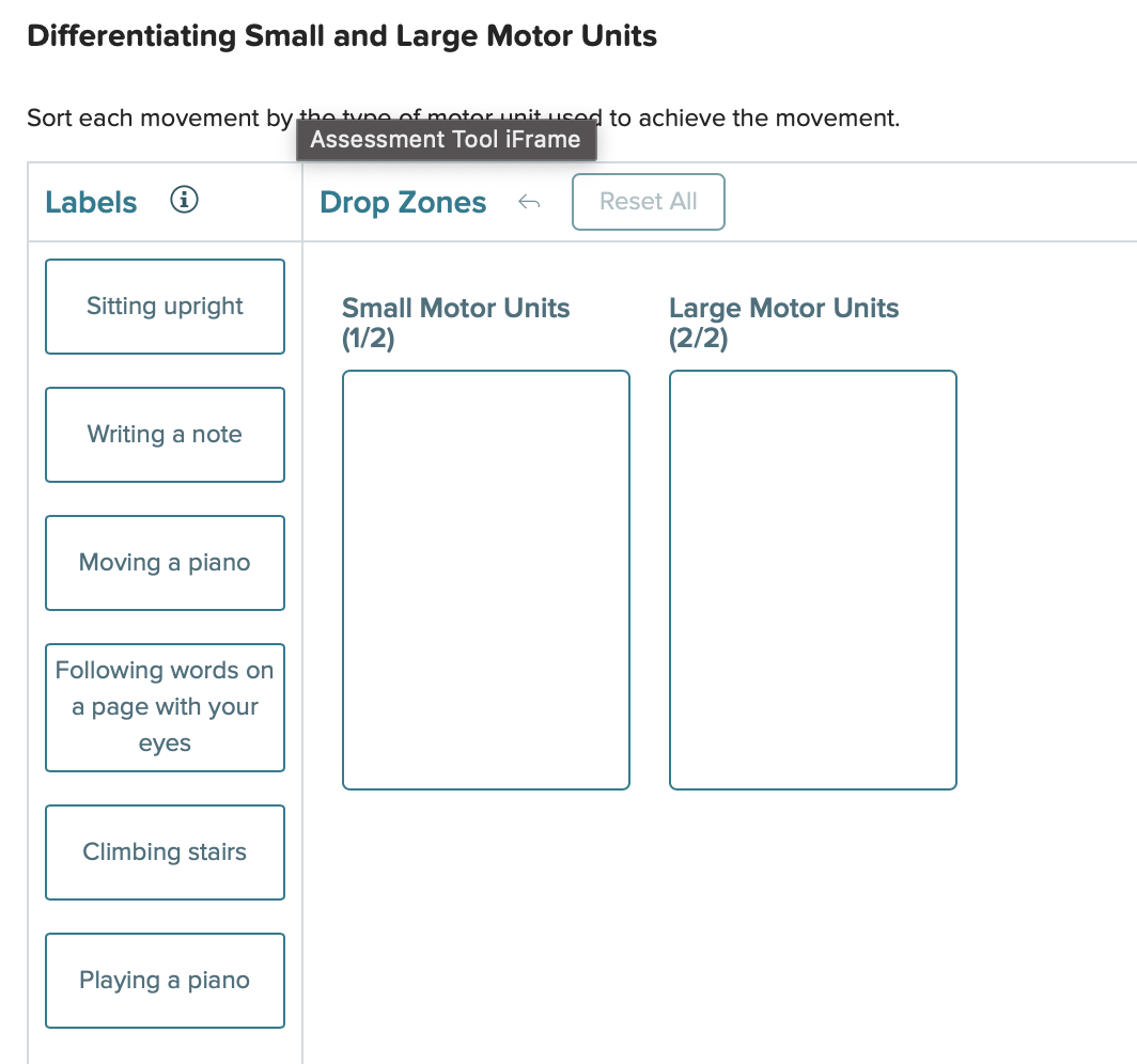 Solved Differentiating Small and Large Motor UnitsSort each | Chegg.com