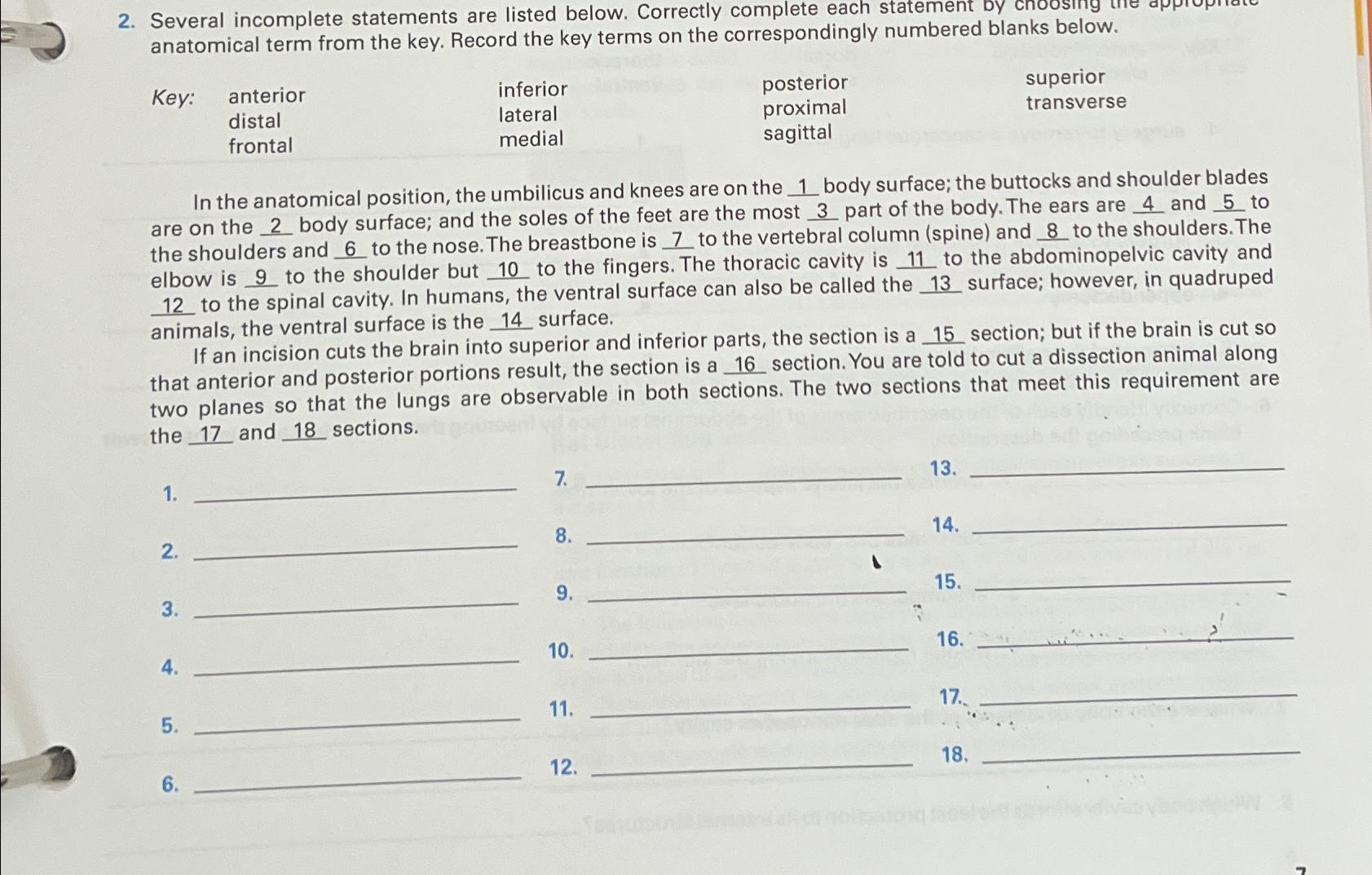 Solved Several incomplete statements are listed below. | Chegg.com