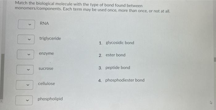 Solved Match the biological molecule with the type of bond | Chegg.com