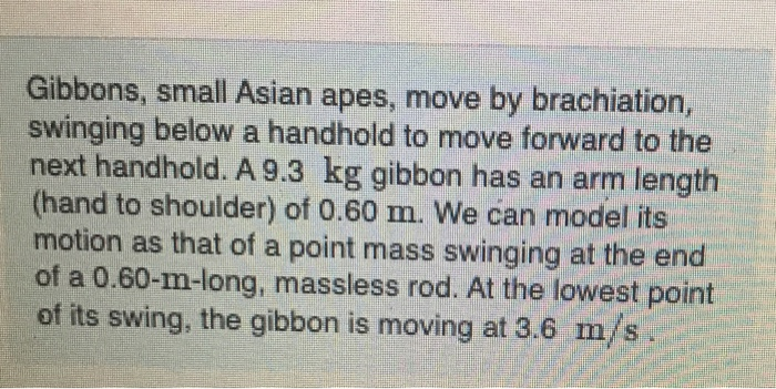 Gibbons, small Asian apes, move by brachiation, | Chegg.com