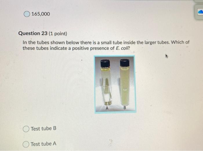 Solved 165,000 Question 23 (1 point) In the tubes shown | Chegg.com