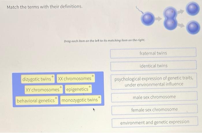 Solved Match the terms with their definitions. Drog eoch | Chegg.com