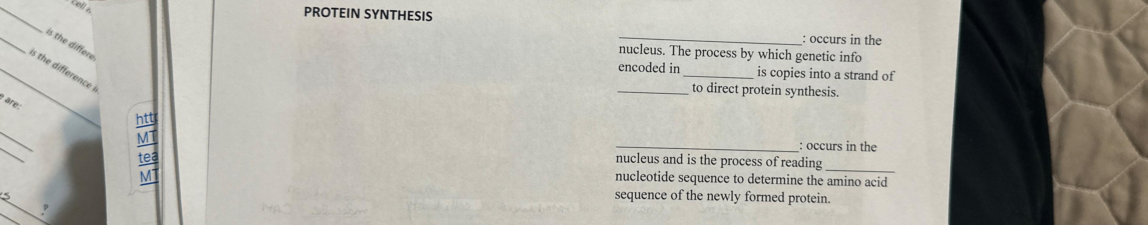 Solved PROTEIN SYNTHESIS : occurs in the nucleus. The | Chegg.com