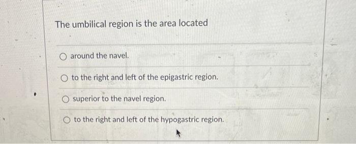 Solved The umbilical region is the area located around the | Chegg.com