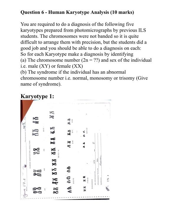 Solved Question 6 - Human Karyotype Analysis (10 marks) You | Chegg.com