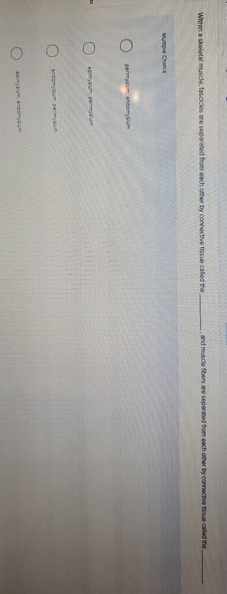 Solved Within a skeletal muscle, fascicles are separated | Chegg.com