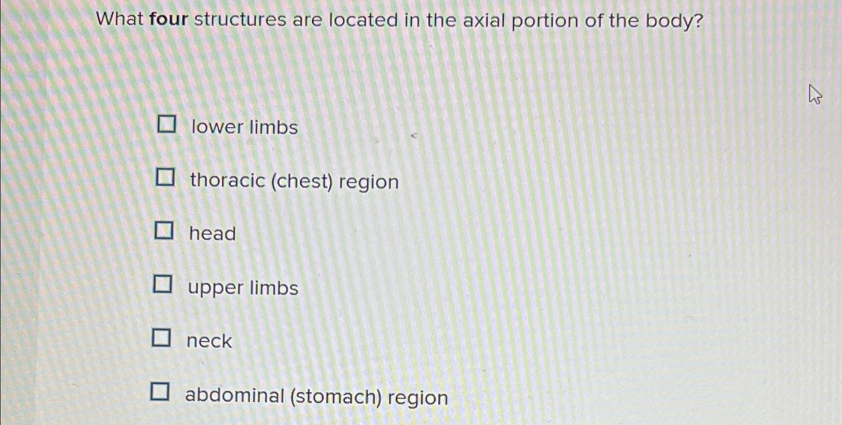 Solved What four structures are located in the axial portion | Chegg.com