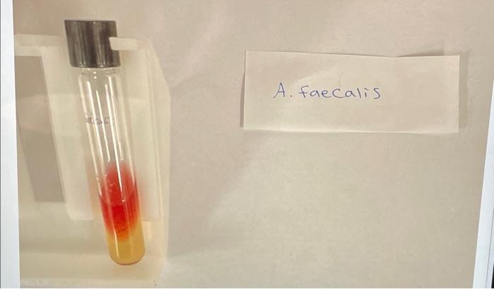 Solved PART B: Methyl Red Test and Voges-Proskauer Test | Chegg.com