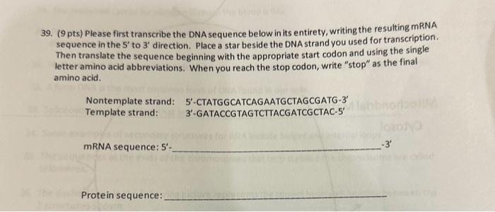39. (9 pts) Please first transcribe the DNA sequence | Chegg.com