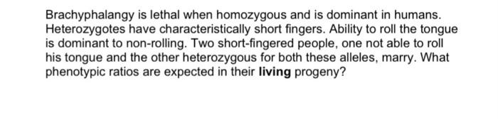 Solved Brachyphalangy is lethal when homozygous and is | Chegg.com