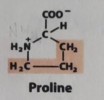 Solved Draw the structure of proline species at pH of | Chegg.com