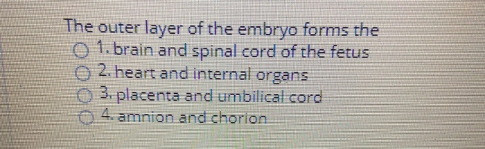 Solved The outer layer of the embryo forms the 1. brain and | Chegg.com