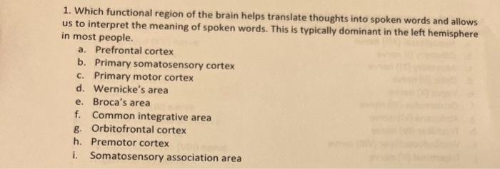 Solved 1. Which functional region of the brain helps | Chegg.com
