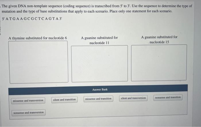 Solved The Given Dna Non Template Sequence Coding Sequence 