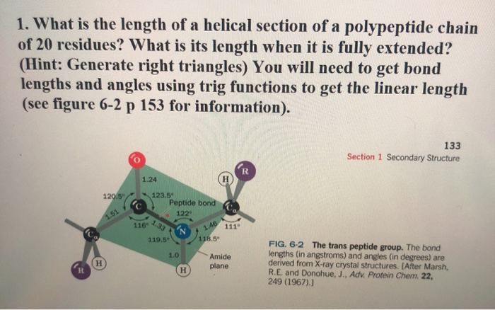 Solved 1. What is the length of a helical section of a | Chegg.com