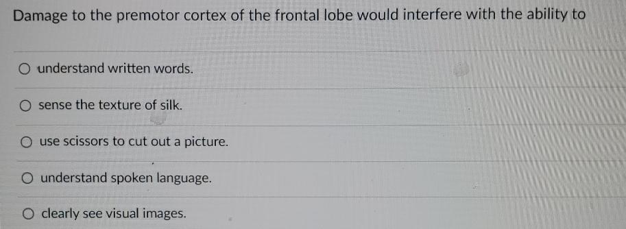 Solved Damage to the premotor cortex of the frontal lobe | Chegg.com