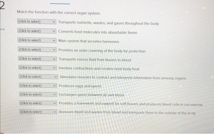 Solved Match the function with the correct organ system. | Chegg.com