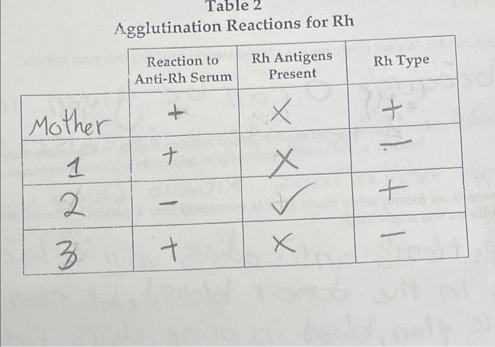 Table 2 Agglutination Reactions for Rh Reaction to | Chegg.com