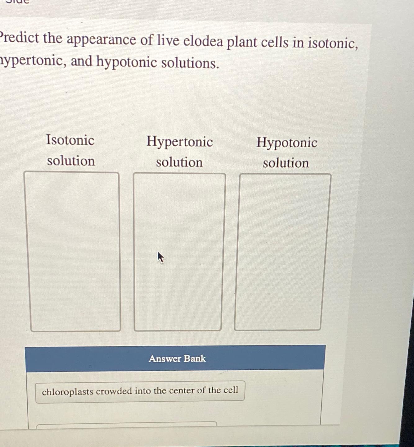 Solved redict the appearance of live elodea plant cells in | Chegg.com