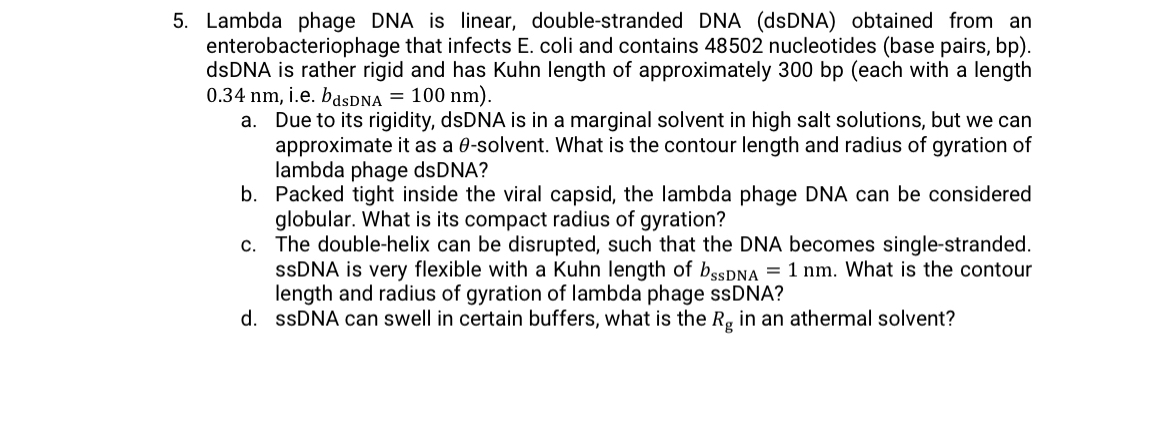 Solved Lambda phage DNA is linear, double-stranded DNA | Chegg.com