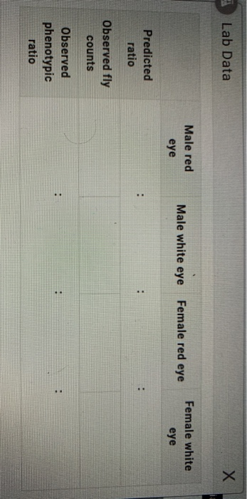 Solved MENDELIAN GENETICS. X-LINKED FRUIT.FLY CROSS | Chegg.com