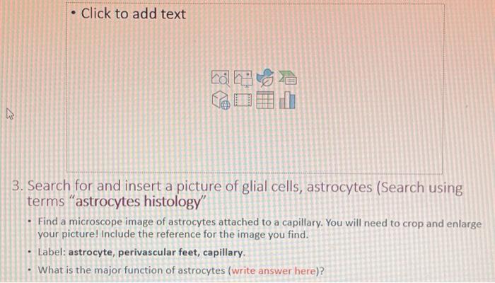Solved - Click to add text 3. Search for and insert a | Chegg.com