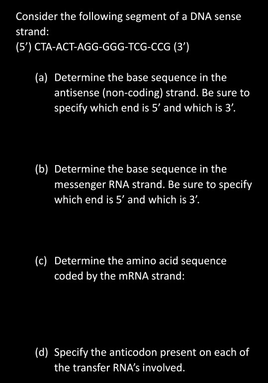 Solved Consider the following segment of a DNA sense strand: | Chegg.com