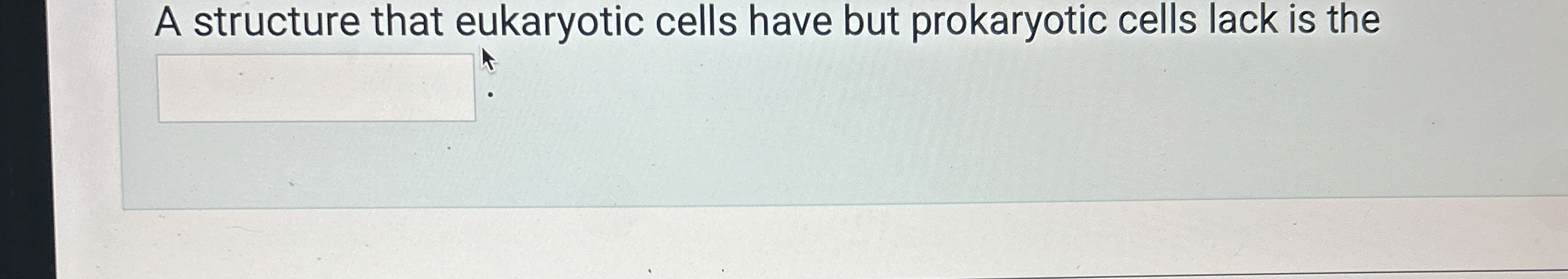 Solved A structure that eukaryotic cells have but | Chegg.com