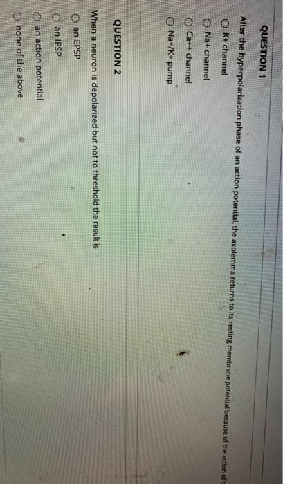 Solved QUESTION 1 After the hyperpolarization phase of an | Chegg.com