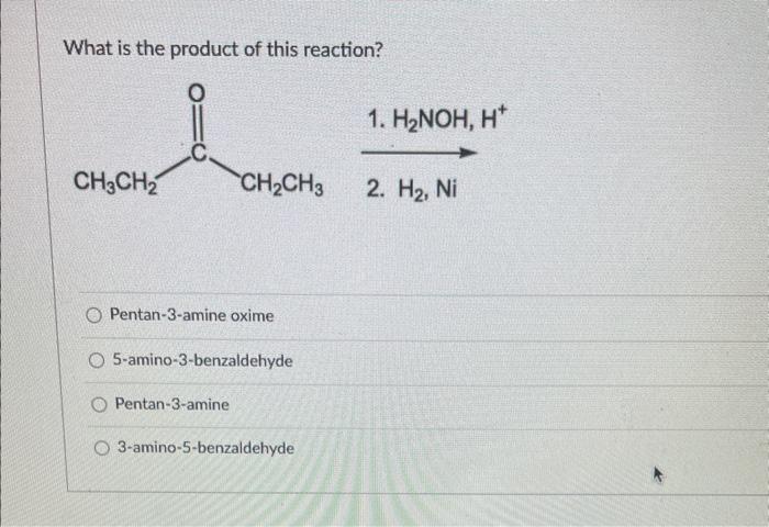 Solved What is the product of this reaction? Pentan-3-amine | Chegg.com