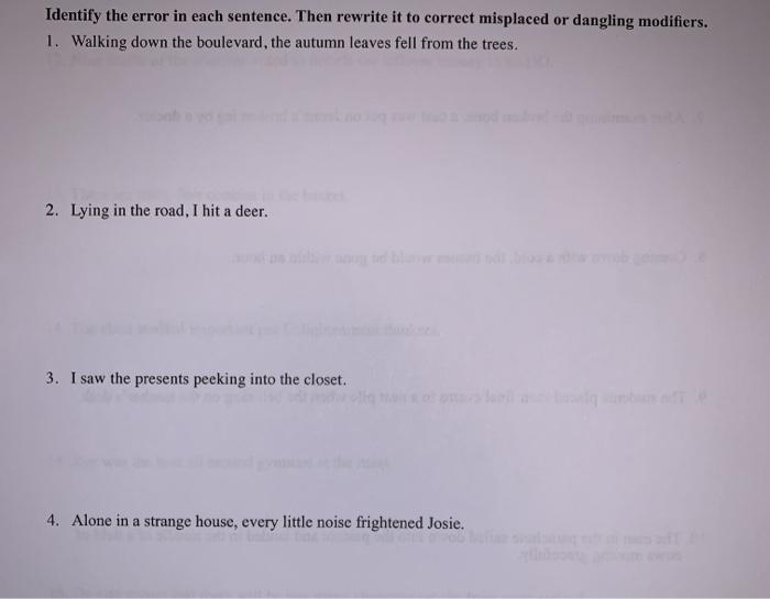 Identify the error in each sentence. Then rewrite it | Chegg.com