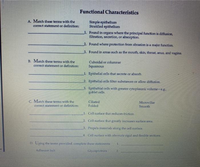 Solved Functional Characteristics A Match these terms with | Chegg.com