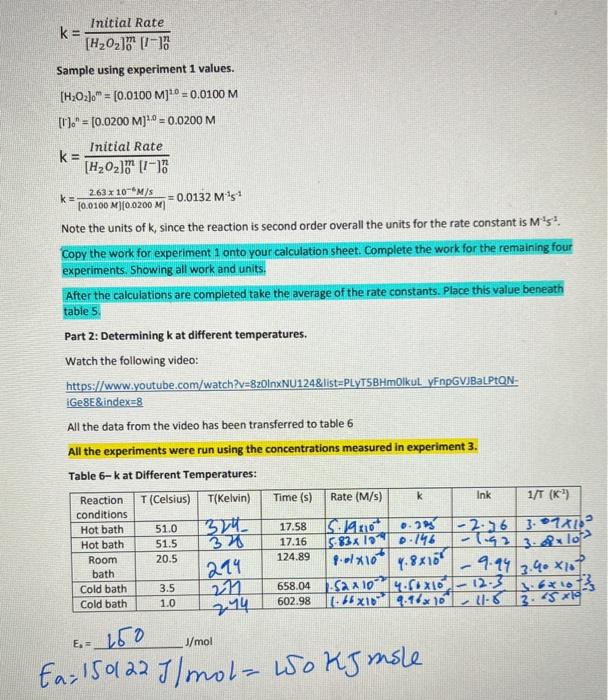 Solved Kinetics Lab continued During kinetics part 1, you | Chegg.com