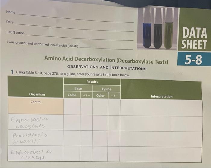 Amino Acid Decarboxylation (Decarboxylase Tests) | Chegg.com
