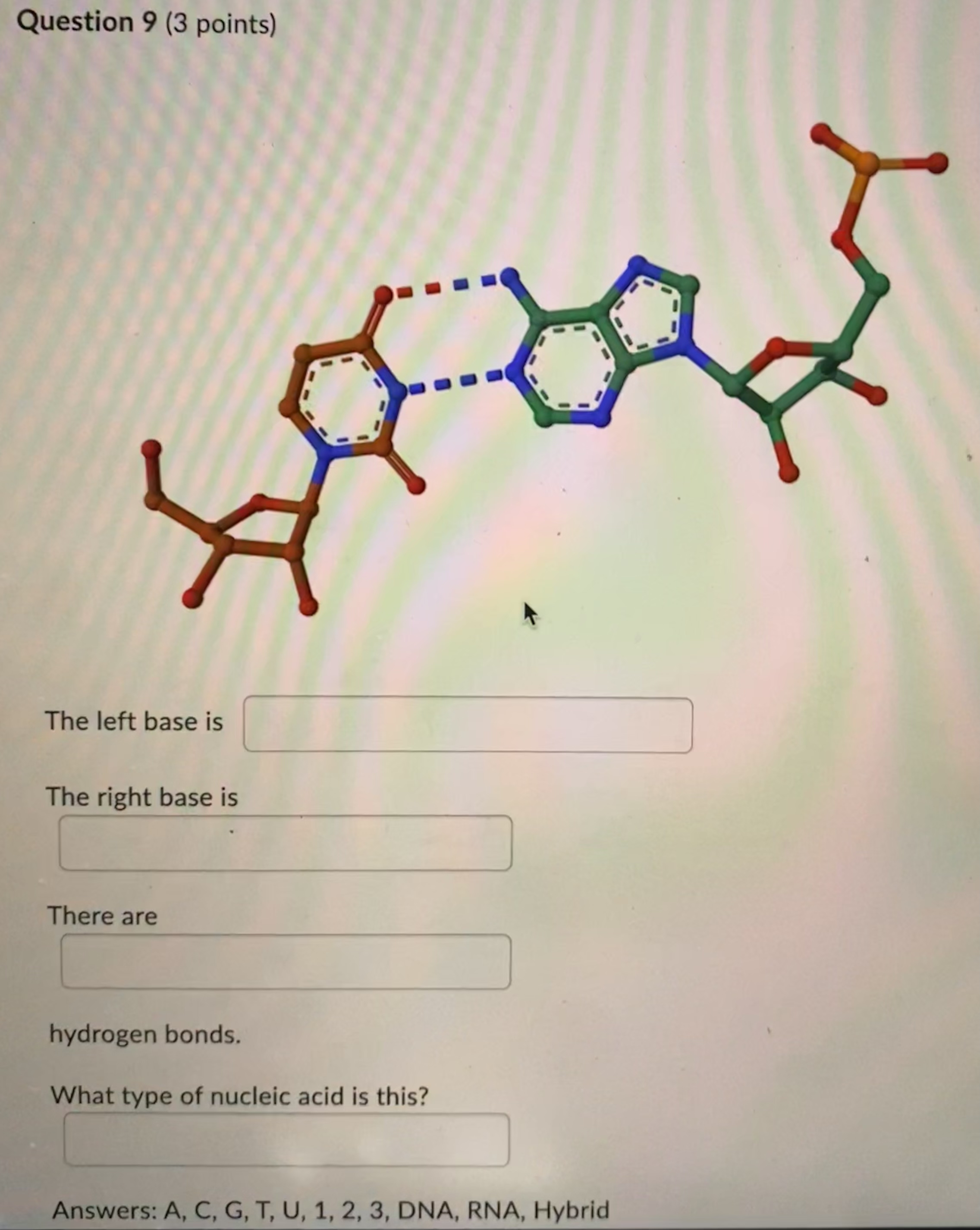 Solved Question 9 (3 ﻿points) ﻿Make sure to use the word | Chegg.com
