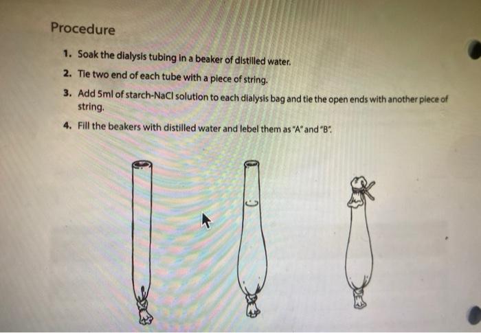 B. Diffusion Using Dialysis Tubing In this exercise | Chegg.com
