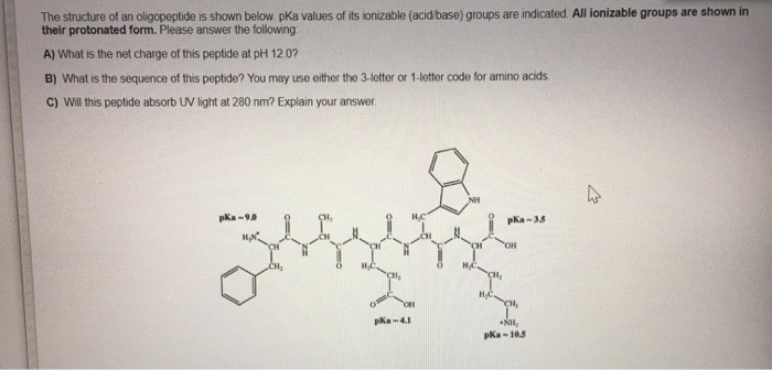 The structure of an oligopeptide is shown below. pka | Chegg.com