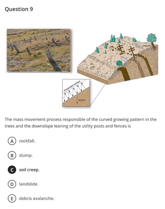Solved The weathering of limestone can create circular | Chegg.com