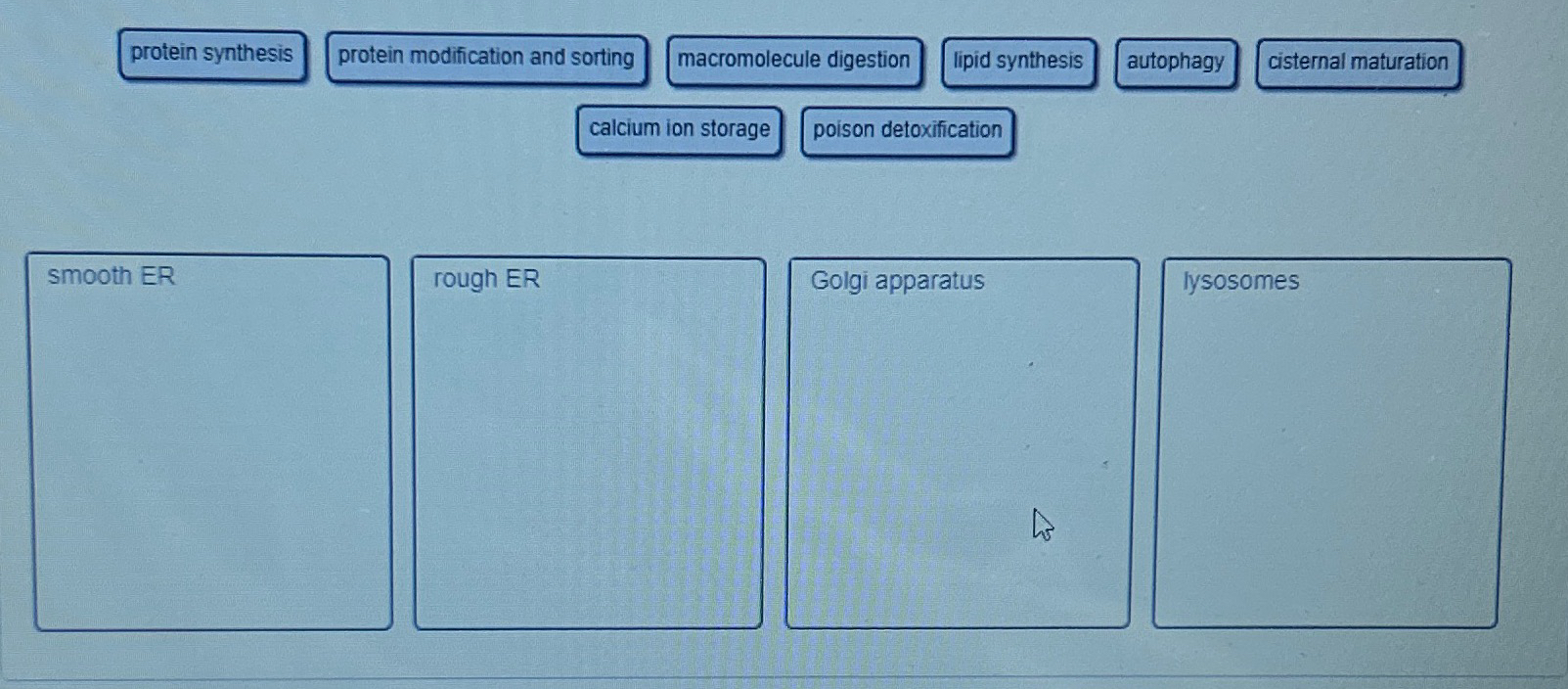 Solved rough ERGolgi apparatuslysosomes | Chegg.com