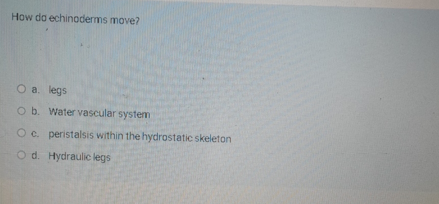 Solved How do echinoderms move?a. ﻿legsb. ﻿Water vascular | Chegg.com