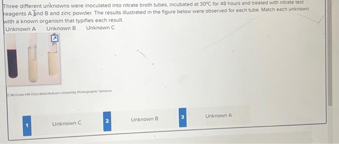 Three different unknowns were inoculated into nitrate | Chegg.com