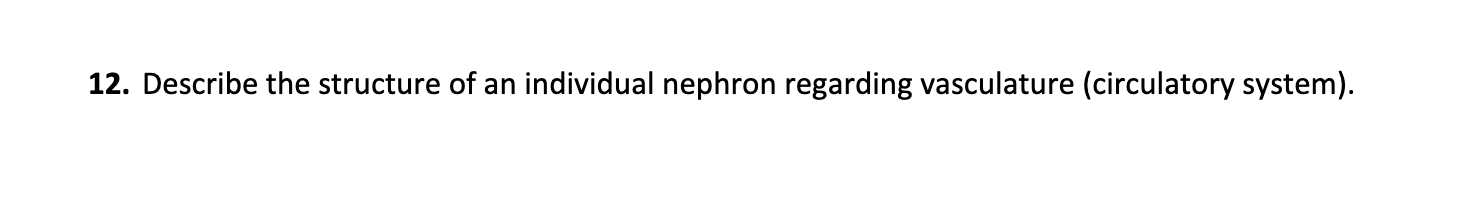 Solved 12. ﻿Describe the structure of an individual nephron | Chegg.com