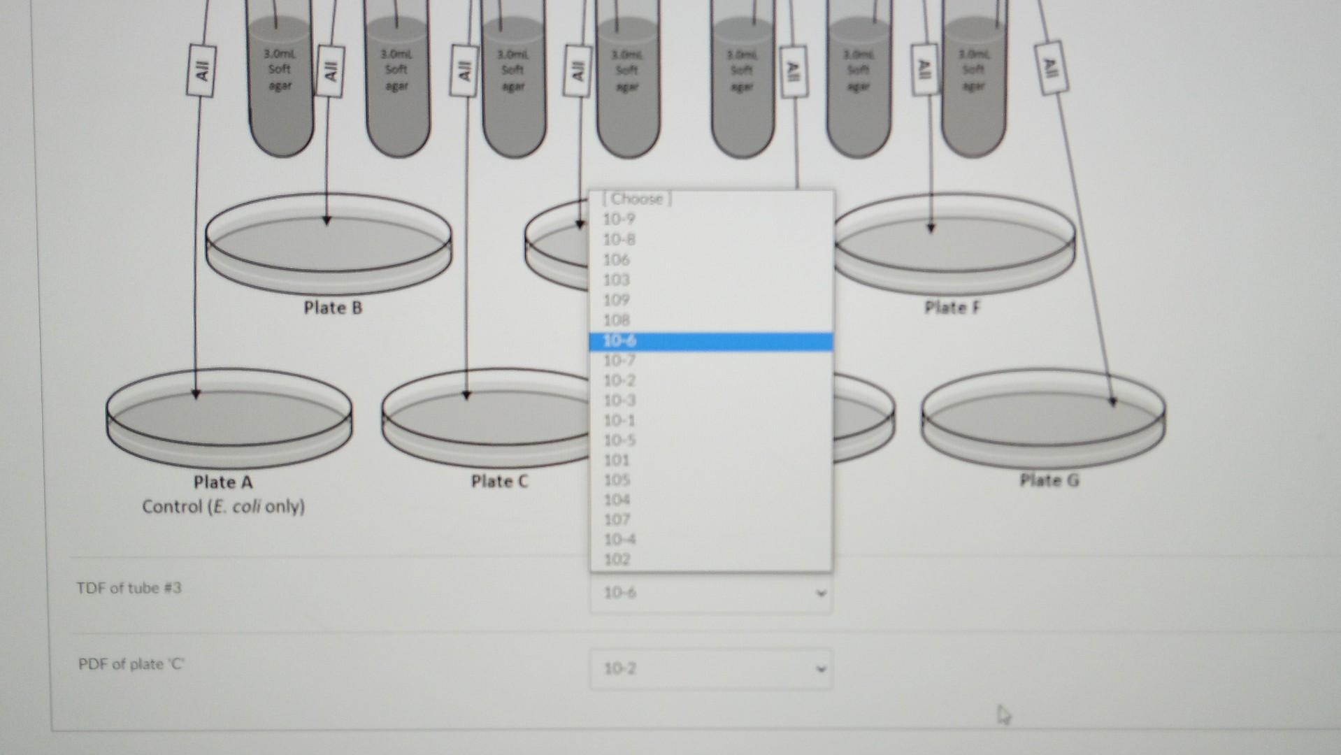 What is the total dilution factor (TDF) of tube #3 | Chegg.com