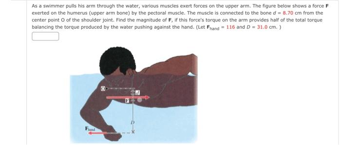 Solved As a swimmer pulls his arm through the water, various | Chegg.com